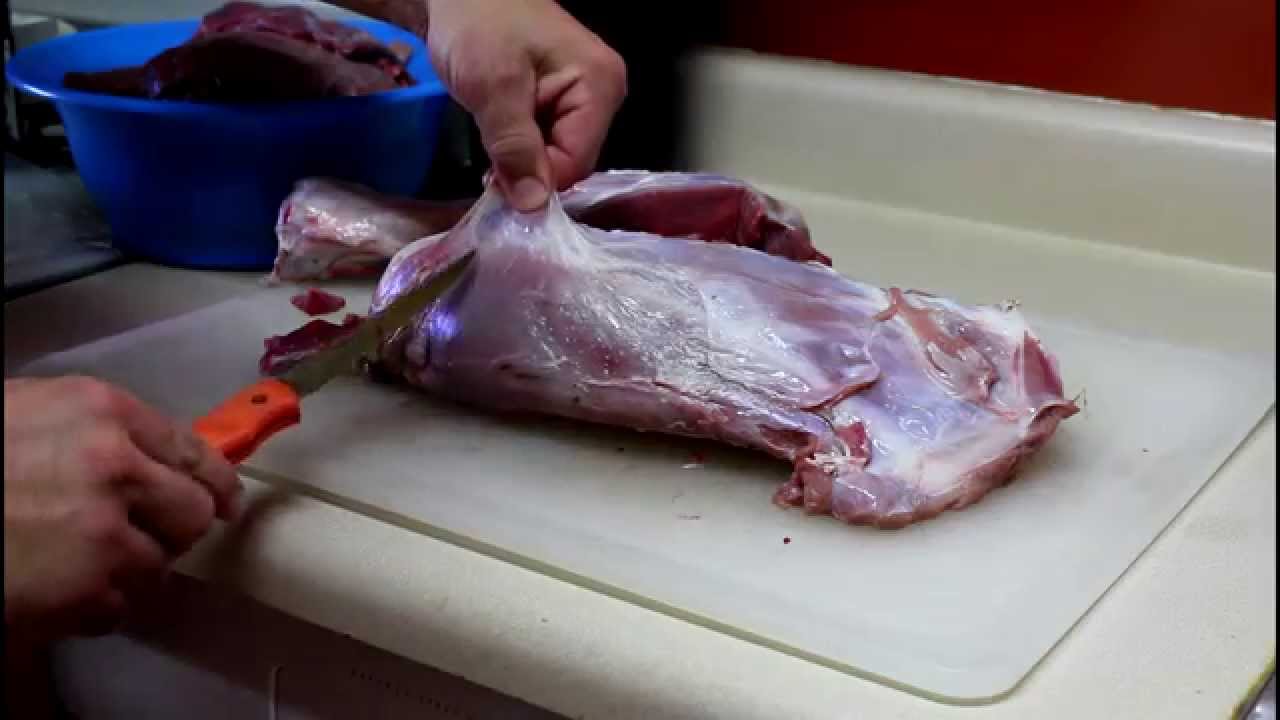 How to Clean Deer Meat - hunterzonepro